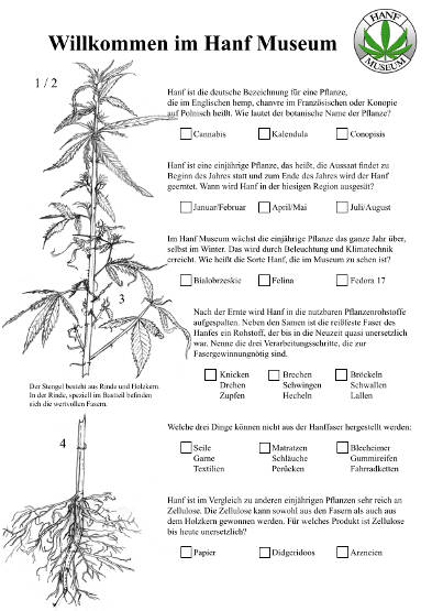 Schulen, Schüler, Studenten - Führungen und Aufklärung im Hanf Museum ...